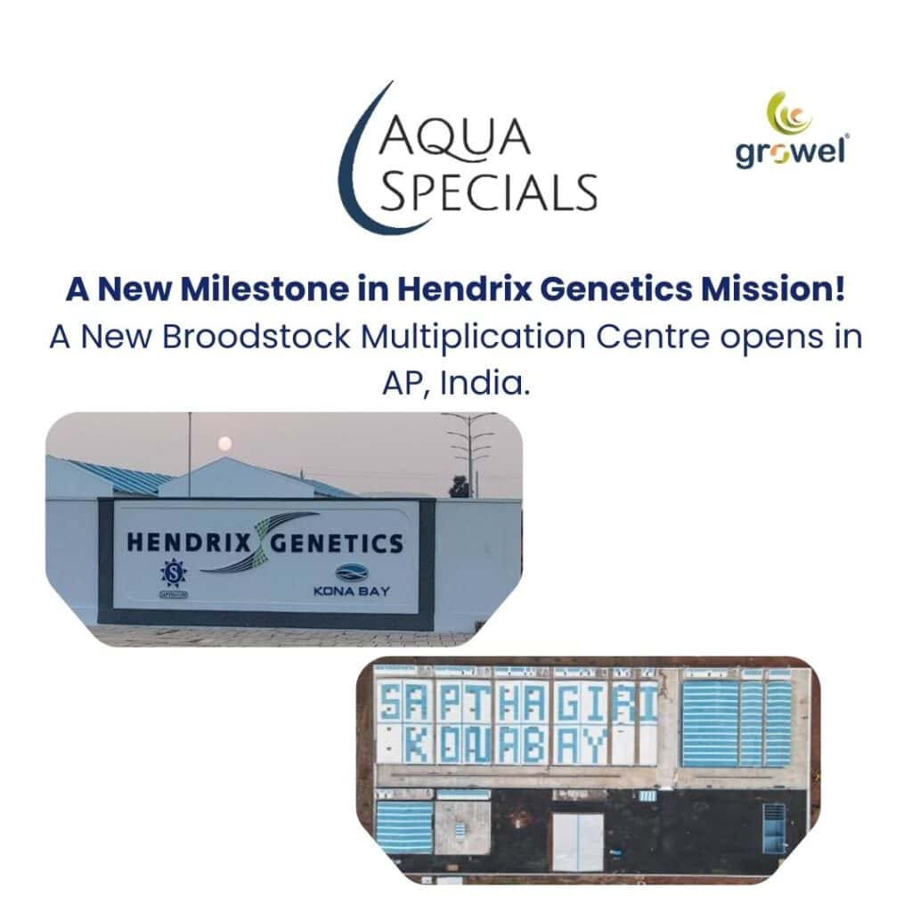 A New Milestone in Hendrix Genetics Mission! A New Broodstock ...